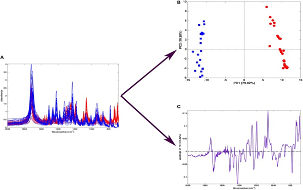 Understanding Chemometrics for NIR Spectroscopy | Tools for Applied Food Science ...