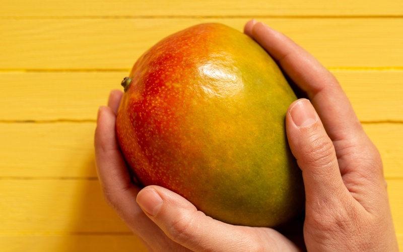 Building a 'Kent' Mango Firmness Model with NIR Spectroscopy | Tools ...